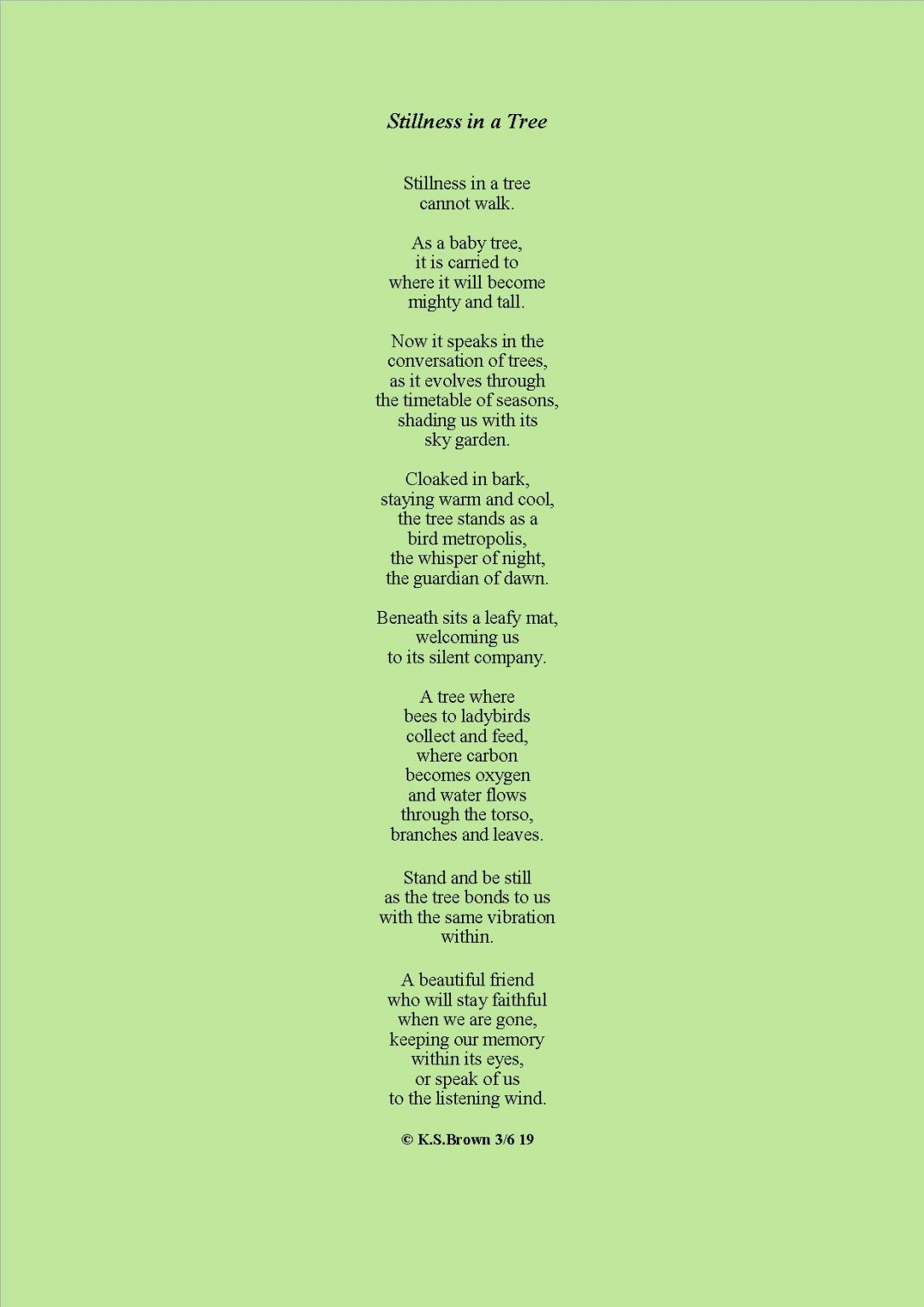 Poem: Stillness In A Tree – Kelvin Brown