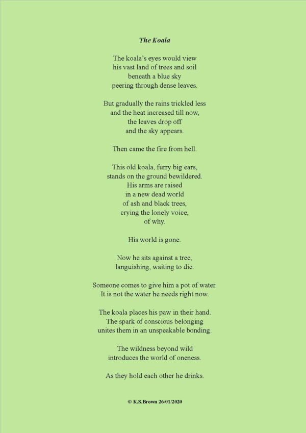 Poem: The Koala – Kelvin Brown