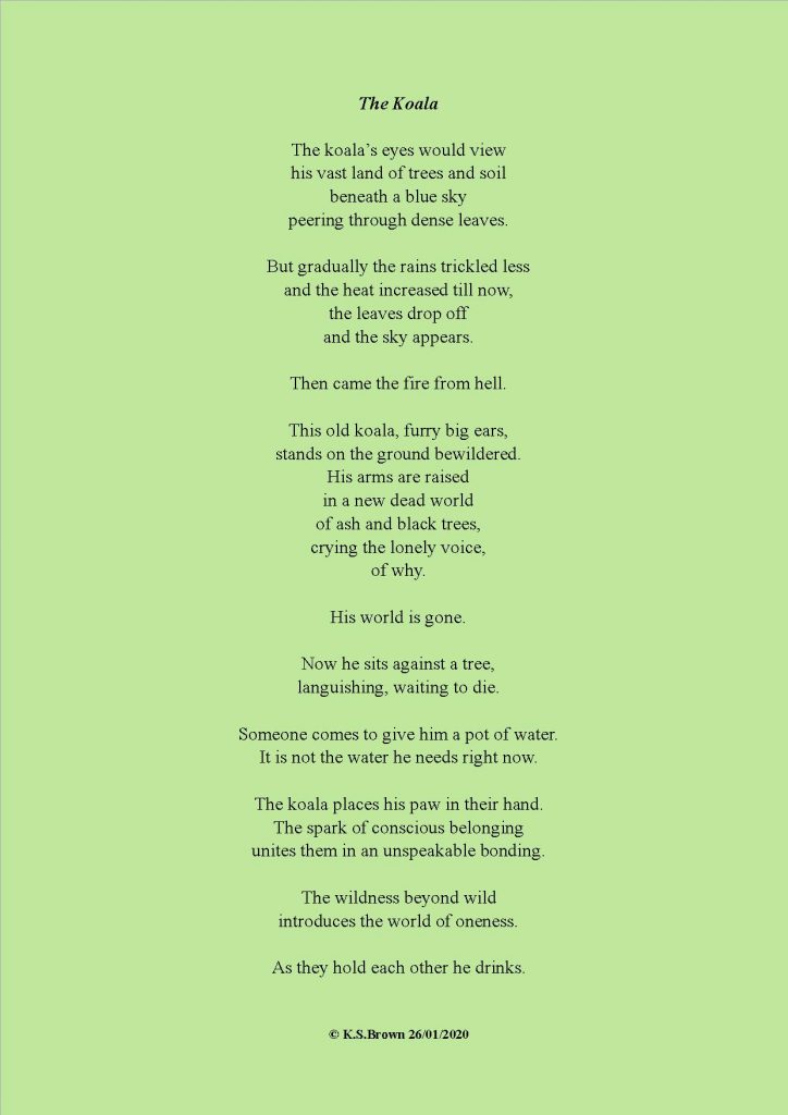 Poem: The Koala – Kelvin Brown